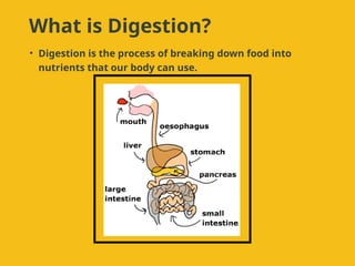 Digestion__Class4__Presentation (1).pptx