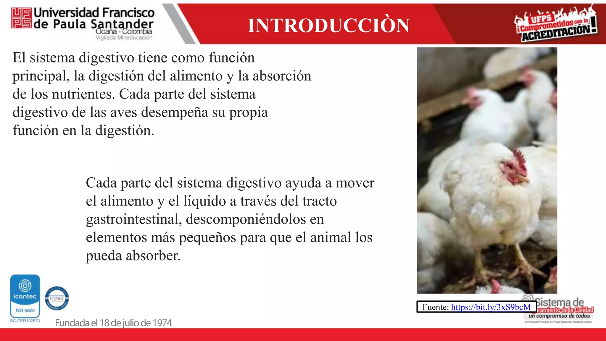 DIGESTION DE NUTRIENTES EN AVES.pptx