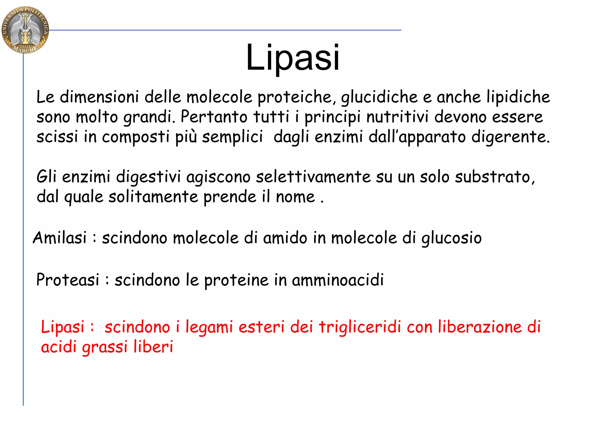 Digestione dei lipidi.Prima parte | PPT