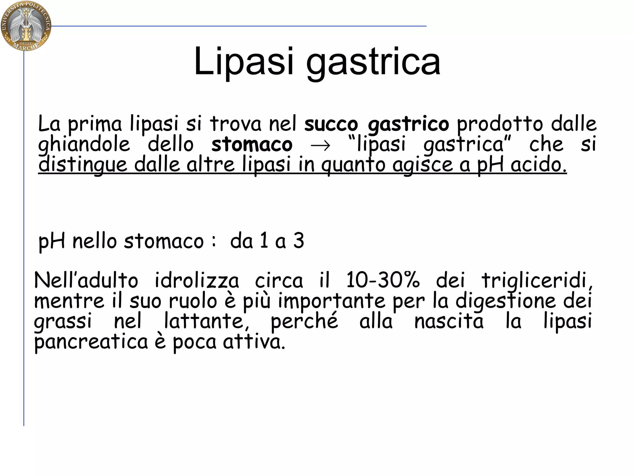 Digestione dei lipidi.Prima parte | PPT