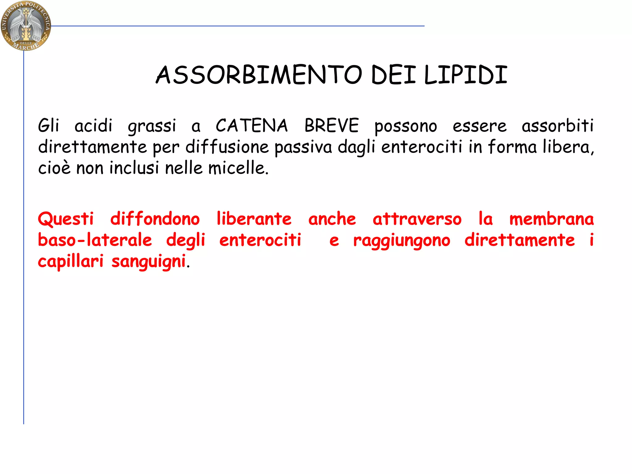 Digestione dei lipidi.Seconda parte | PPT