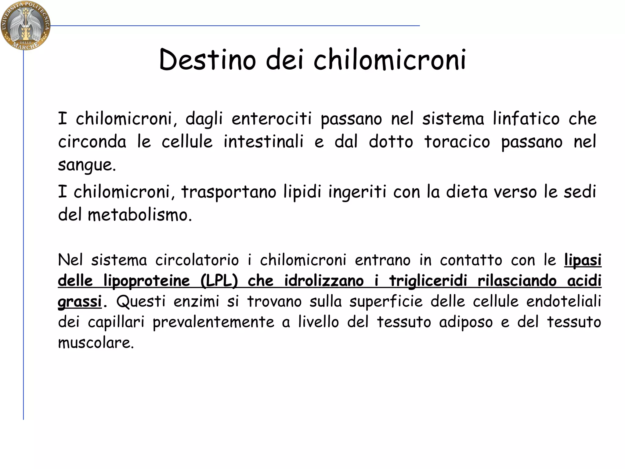 Digestione dei lipidi.Seconda parte | PPT
