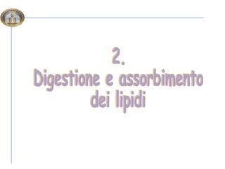 Digestione dei lipidi.Seconda parte | PPT