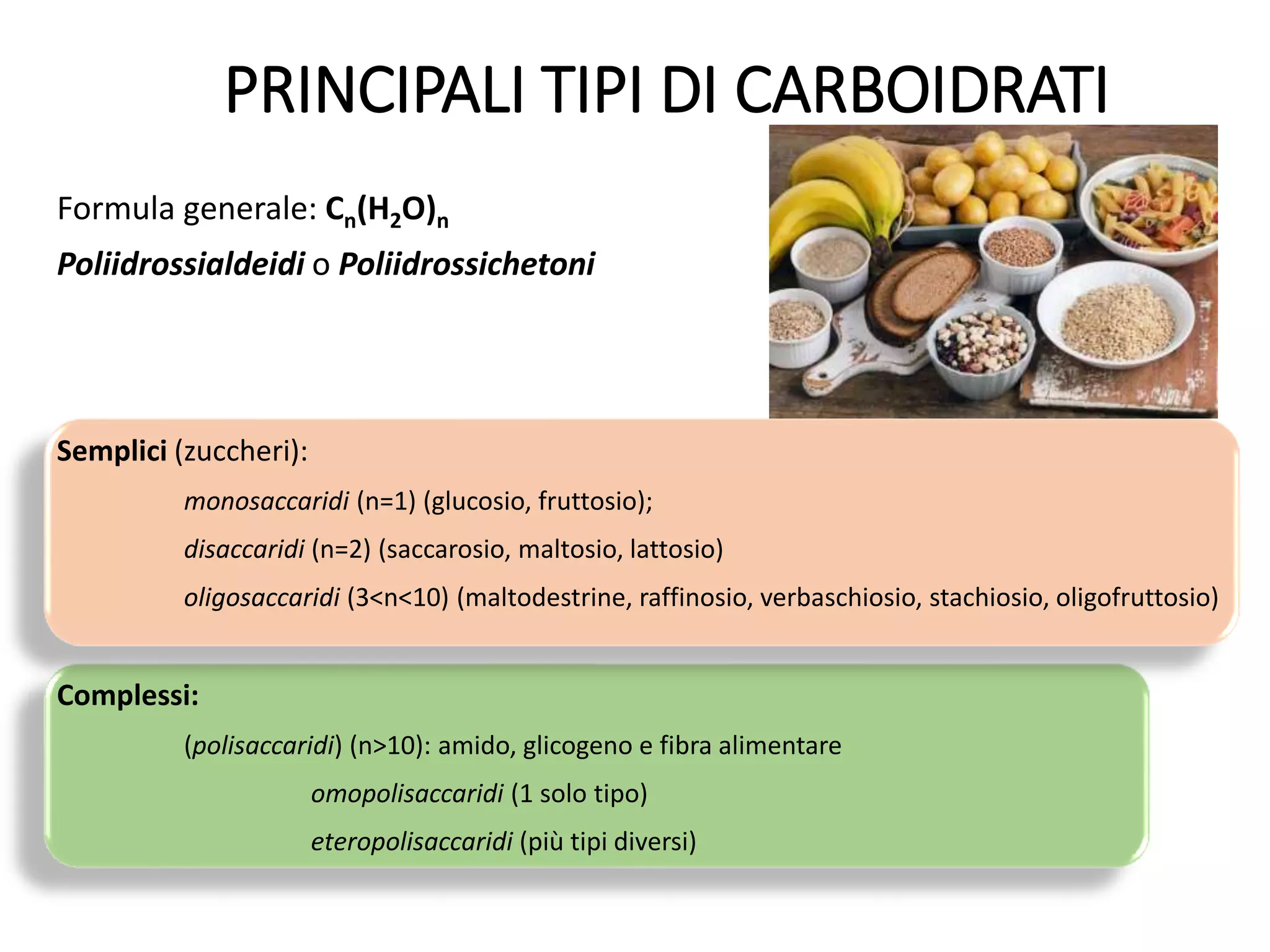 Digestione dei nutrienti e digestione dei carboidrati.pptx