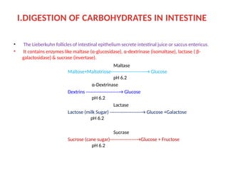 DIGESTION ,ABSORTION AND ASSIMILATION OF NUTRIENTS | PPTX