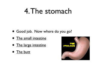 Digestion game | PPT