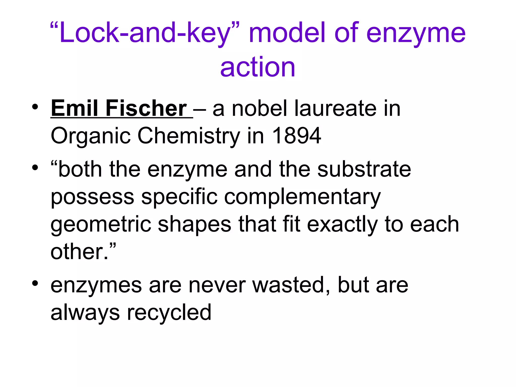 Digestion in Humans | PPT