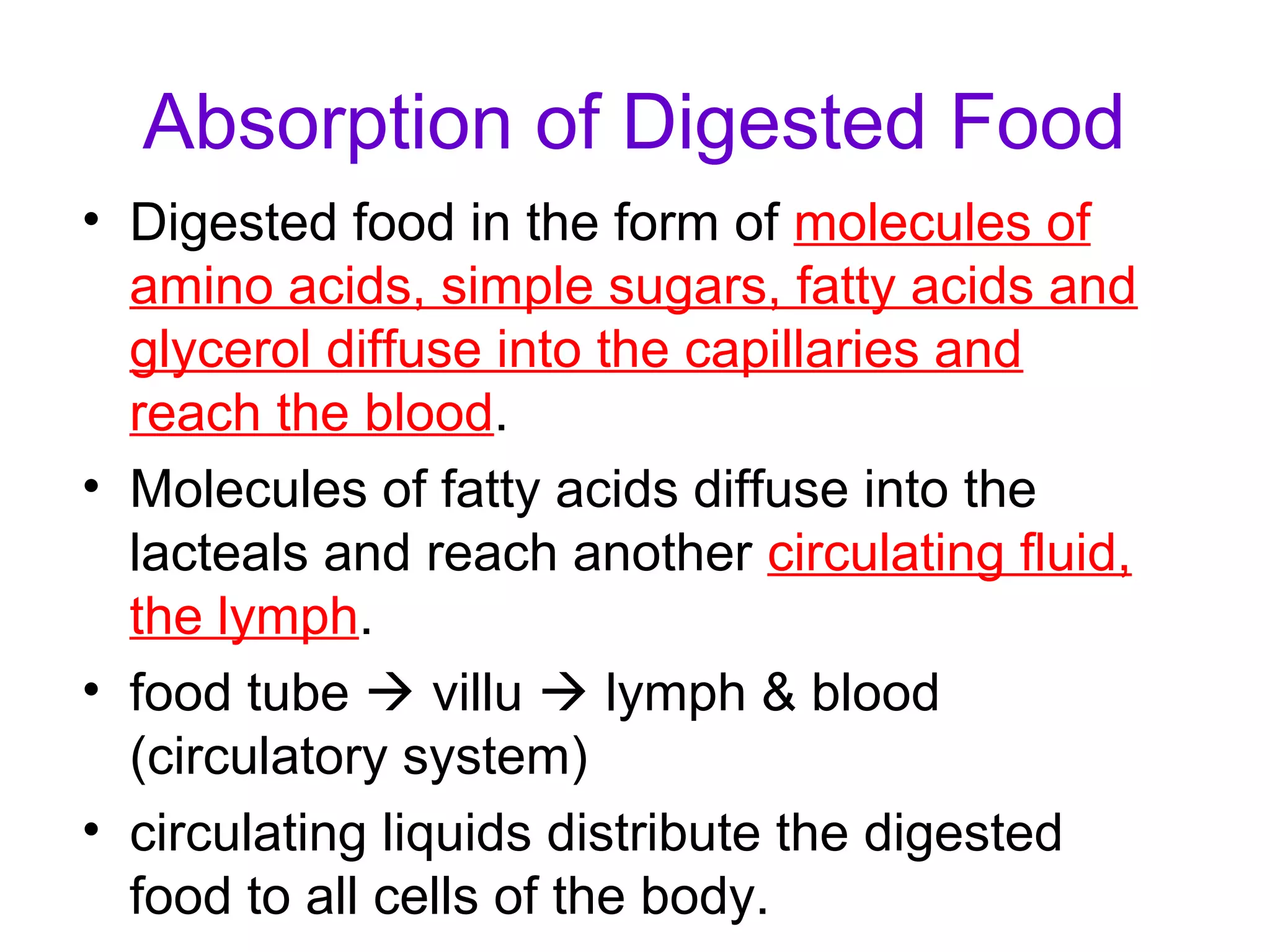 Digestion in Humans | PPT