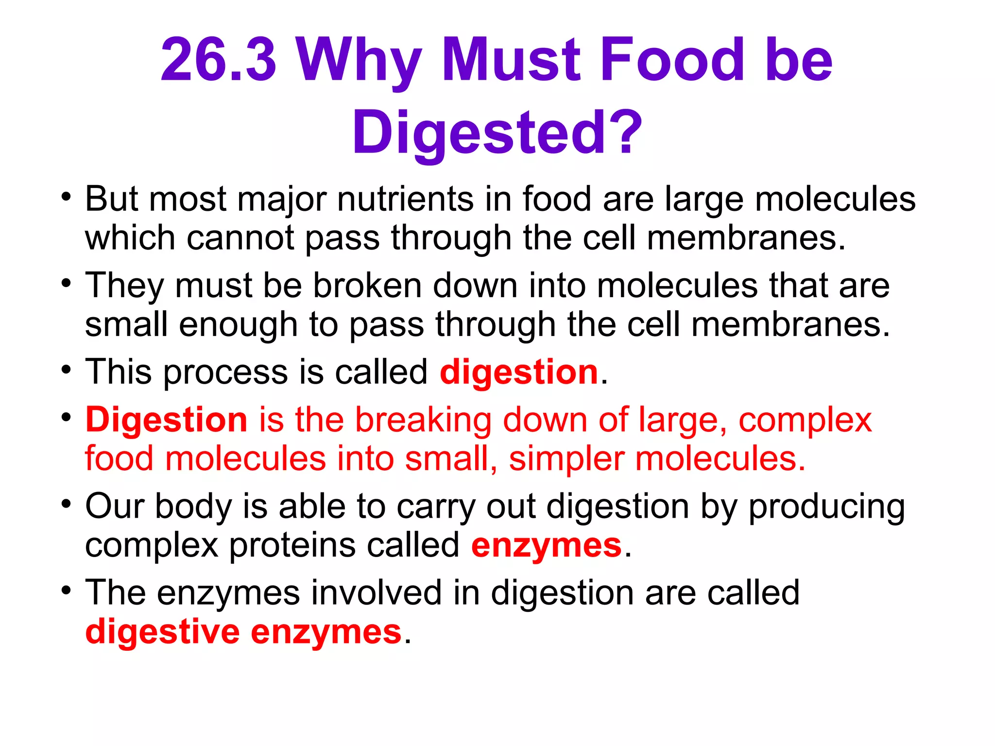 Digestion in Humans | PPT