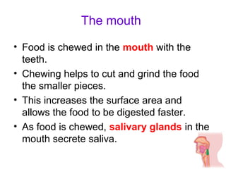 Digestion in Humans | PPT