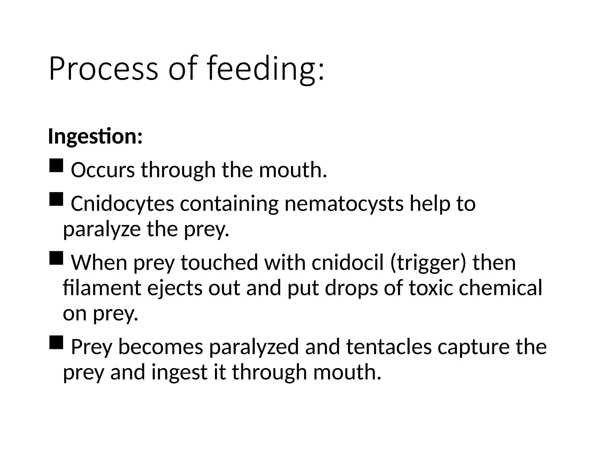 Digestion in Hydra and process of ingestion.pptx
