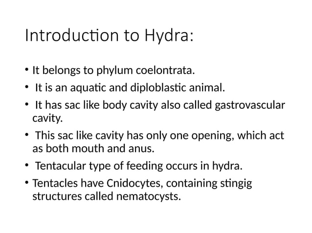 Digestion in Hydra and process of ingestion.pptx