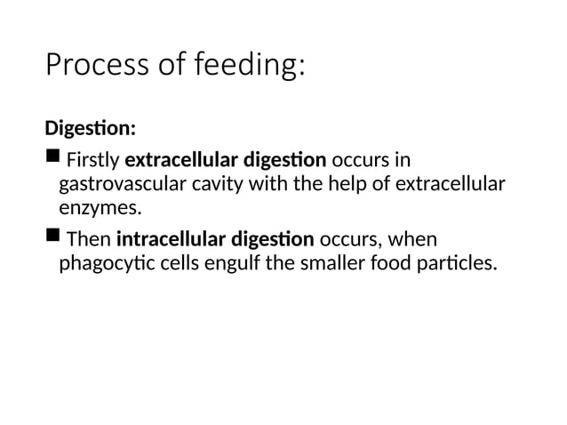 Digestion in Hydra and process of ingestion.pptx