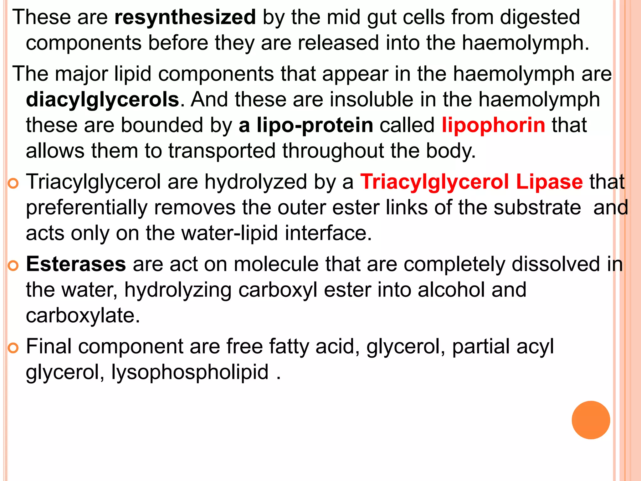 Digestion in insect | PPTX