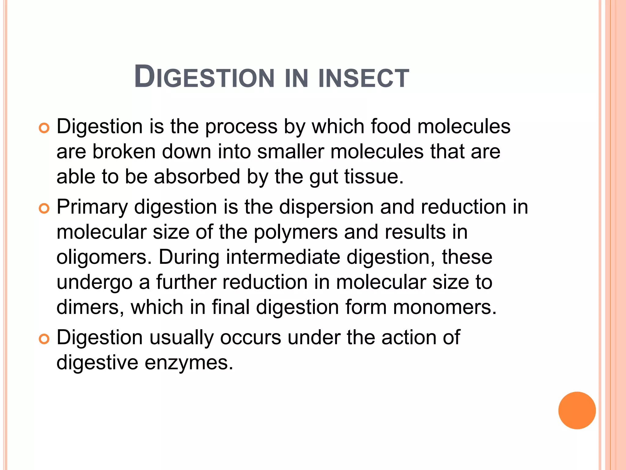 Digestion in insect | PPTX