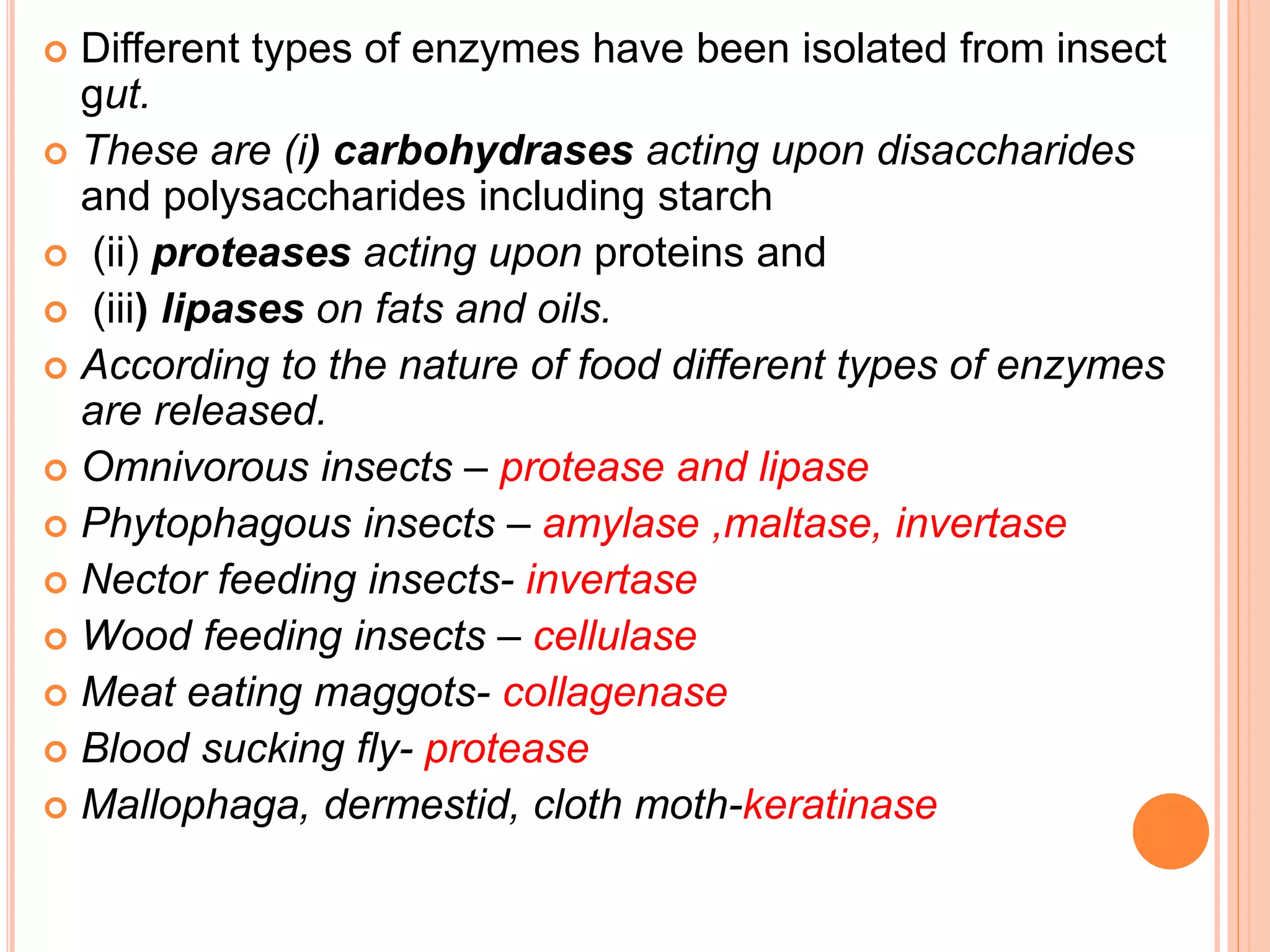 Digestion in insect | PPTX