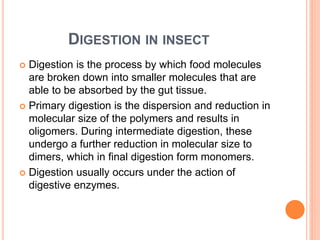 Digestion in insect | PPTX
