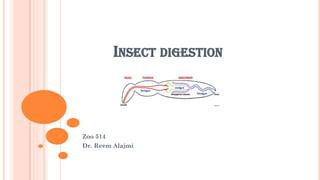 Digestive system of insect and it's physiology.pdf