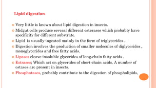 Digestive system of insect and it's physiology.pdf