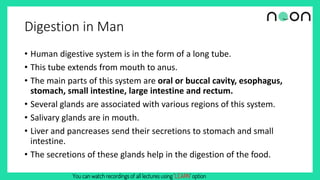Digestion in Man Biology first-year .pdf