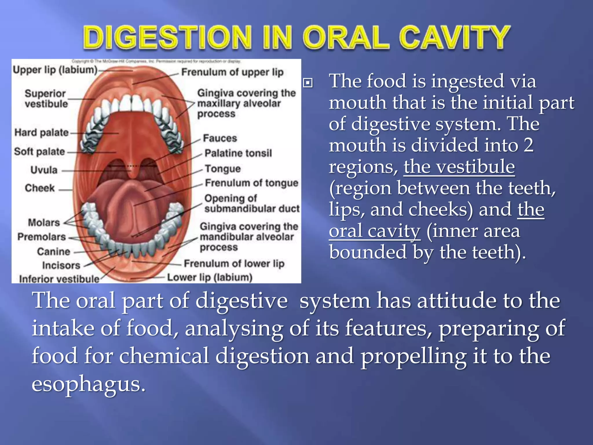 Digestion in oral cavity and stomach (Physiology).ppt