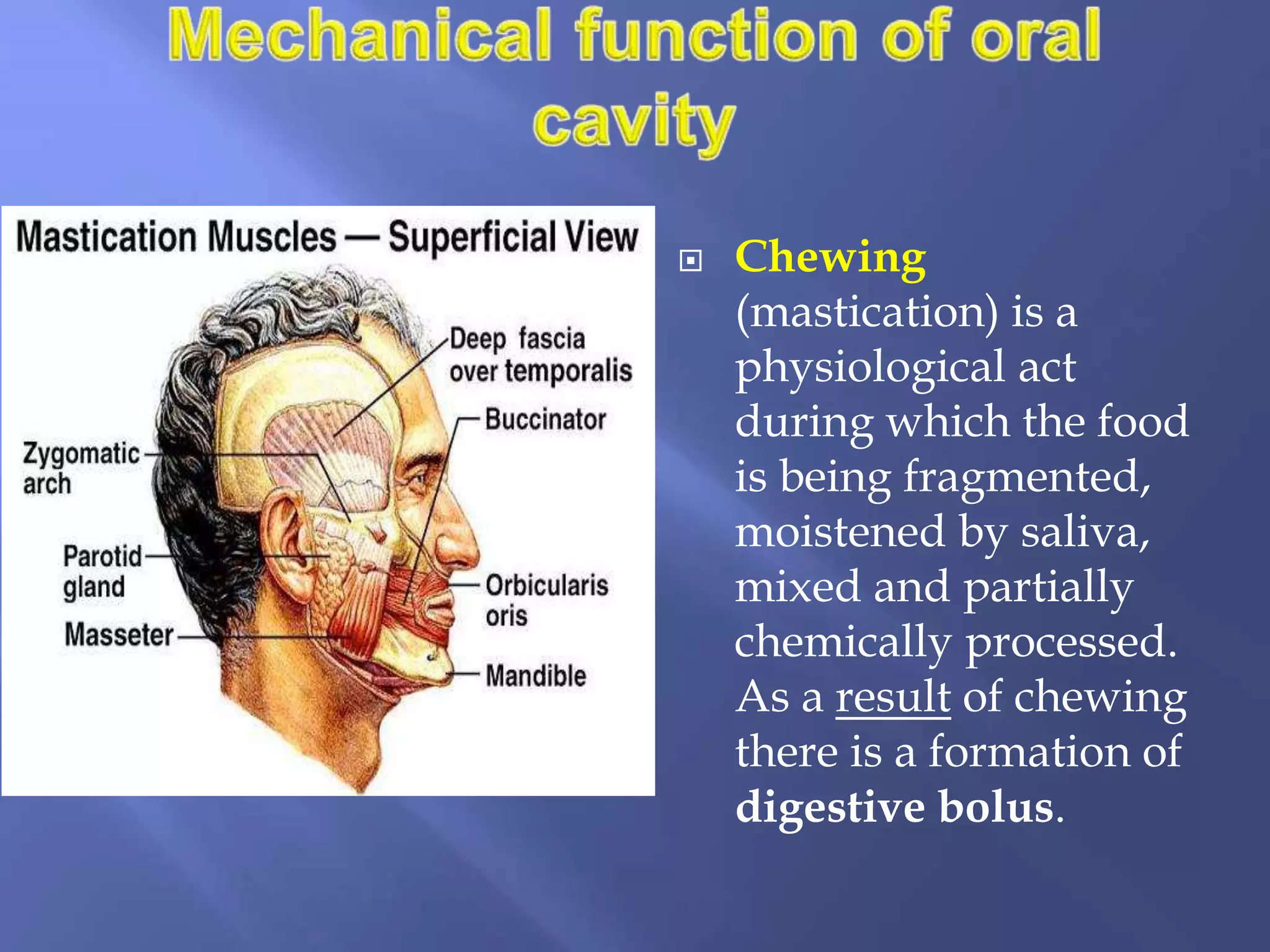 Digestion in oral cavity and stomach (Physiology).ppt