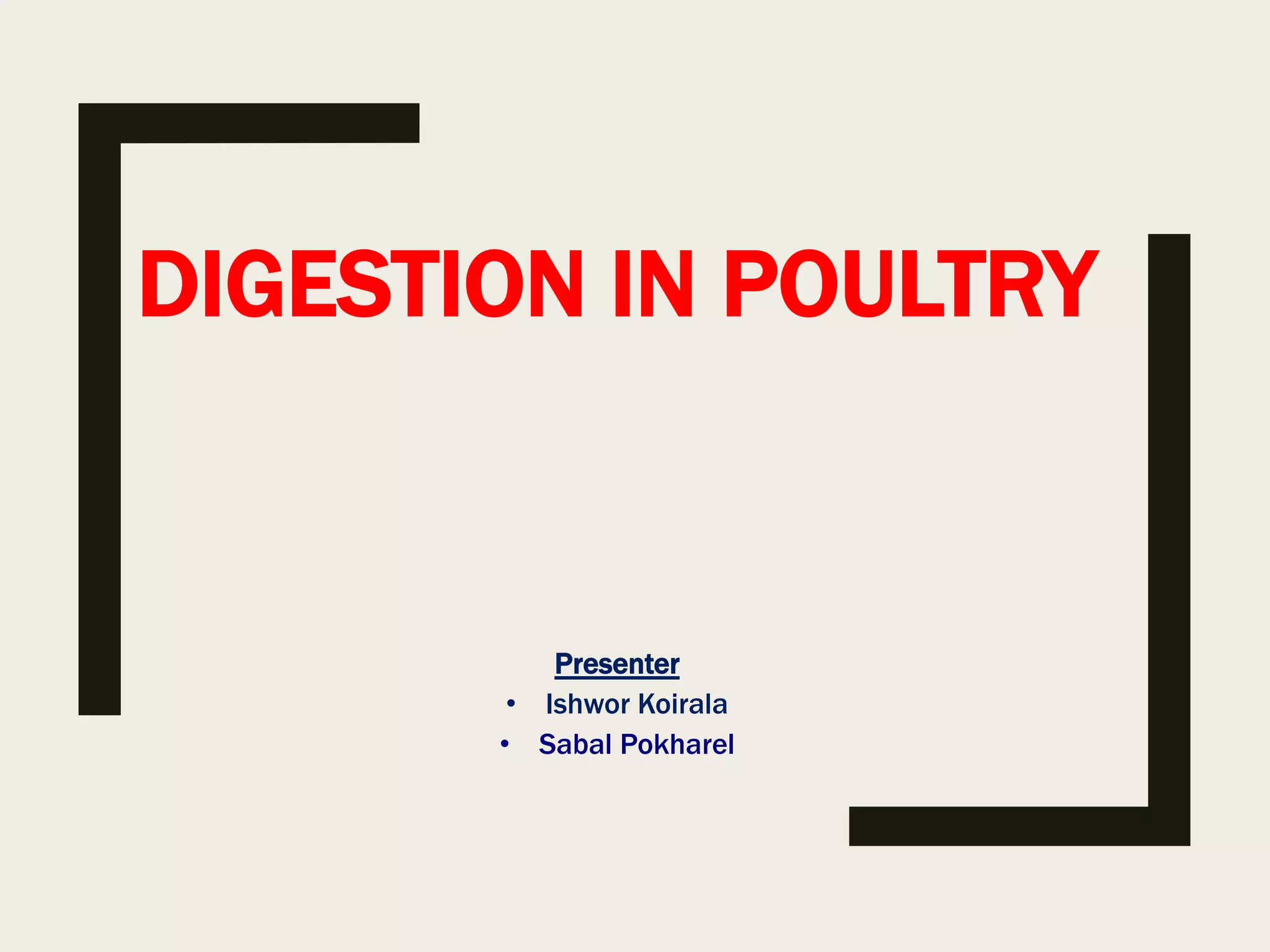 Digestion in poultry birds | PPTX