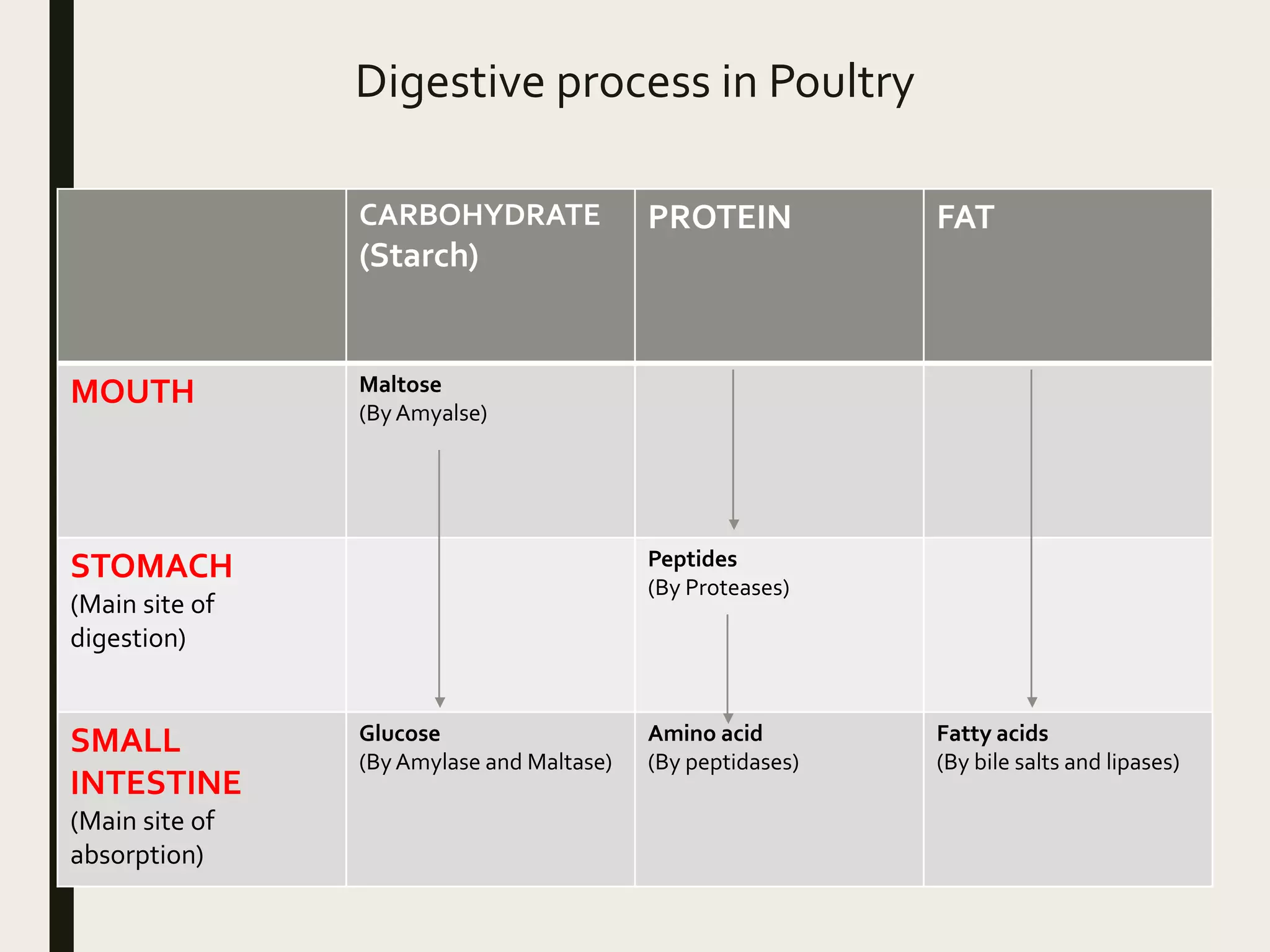 Digestion in poultry birds | PPTX