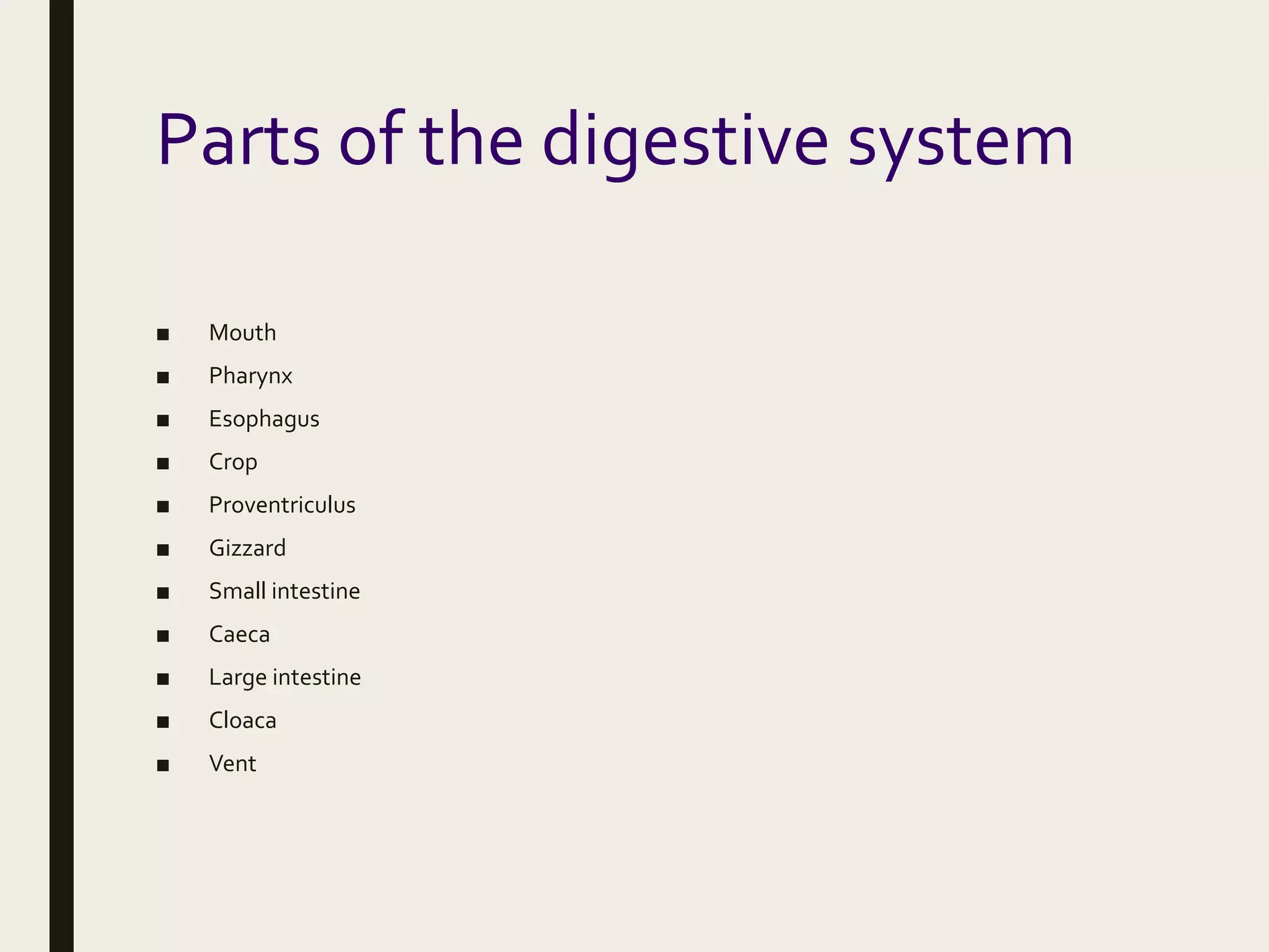 Digestion in poultry birds | PPTX
