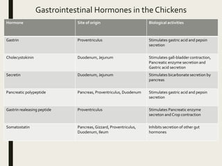 Digestion in poultry birds | PPTX