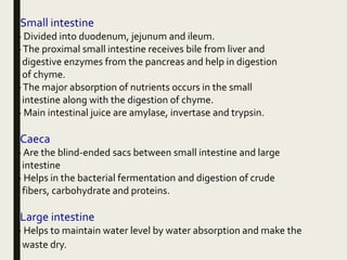 Digestion in poultry birds | PPTX