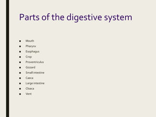 Digestion in poultry birds | PPTX
