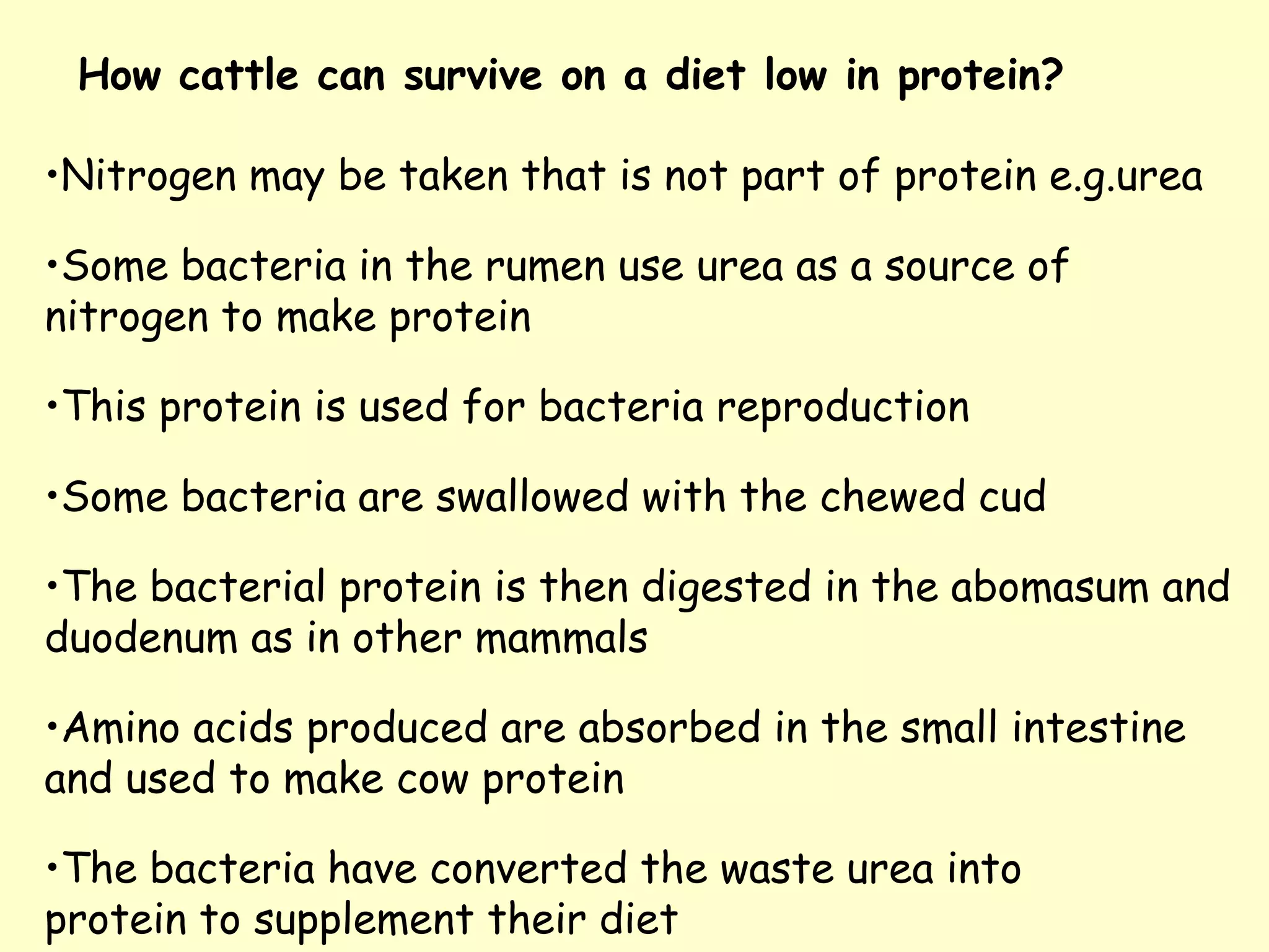 Digestion in Ruminants | PPTX