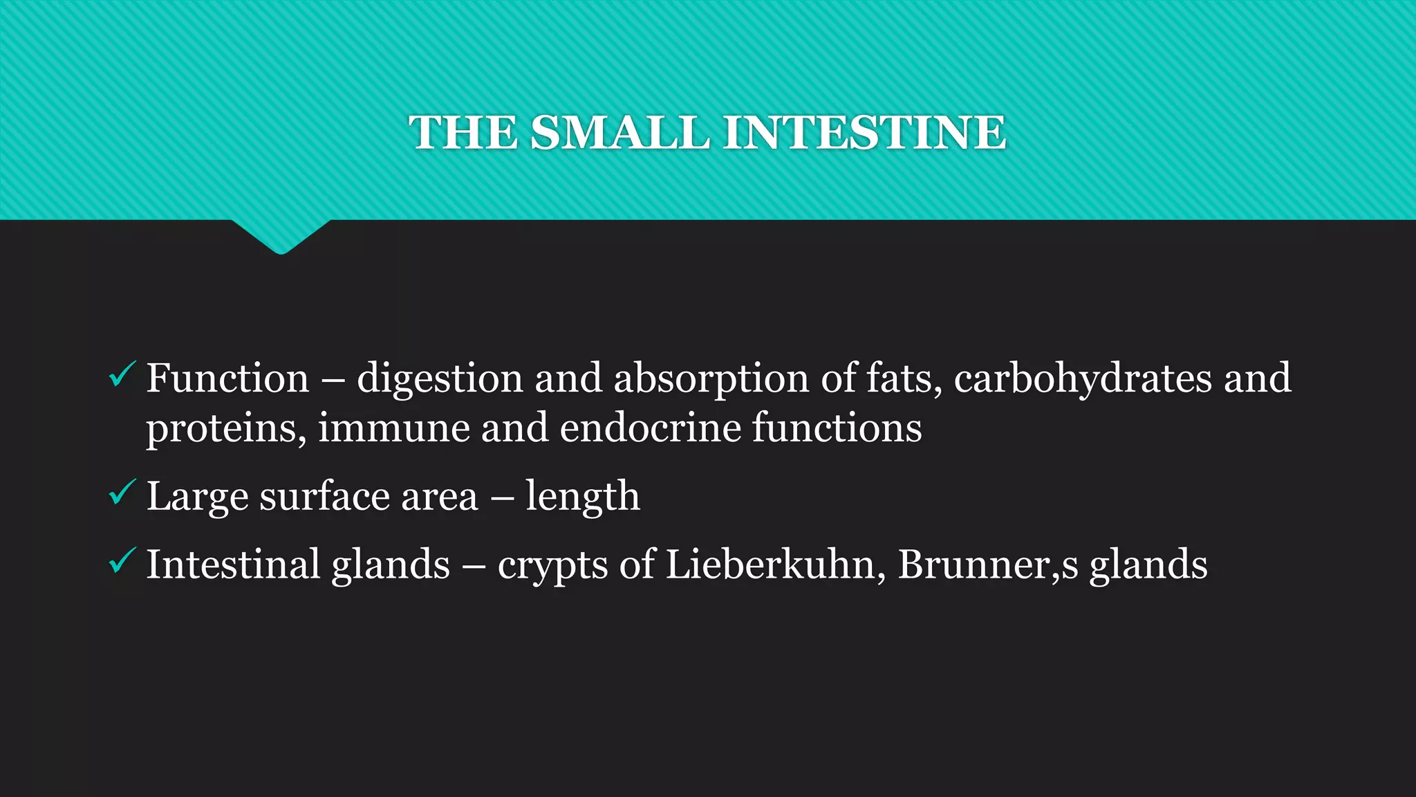 Digestion in the small and large intestine.pptx
