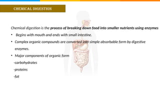 chemical digestion in our body with enzymatic activity.pptx