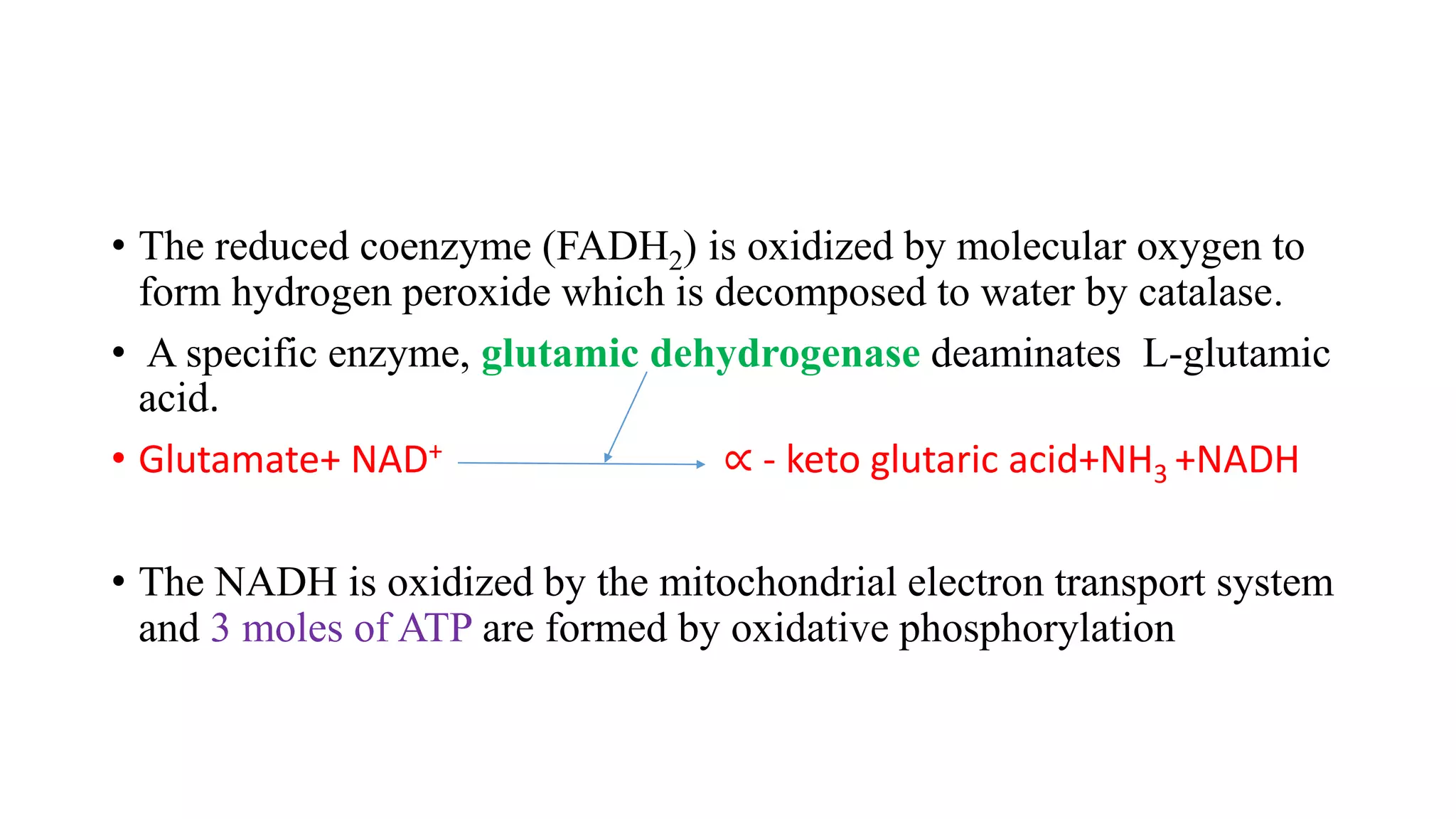 Digestion and metabolism of carbohydrate,fat and protein in non ...