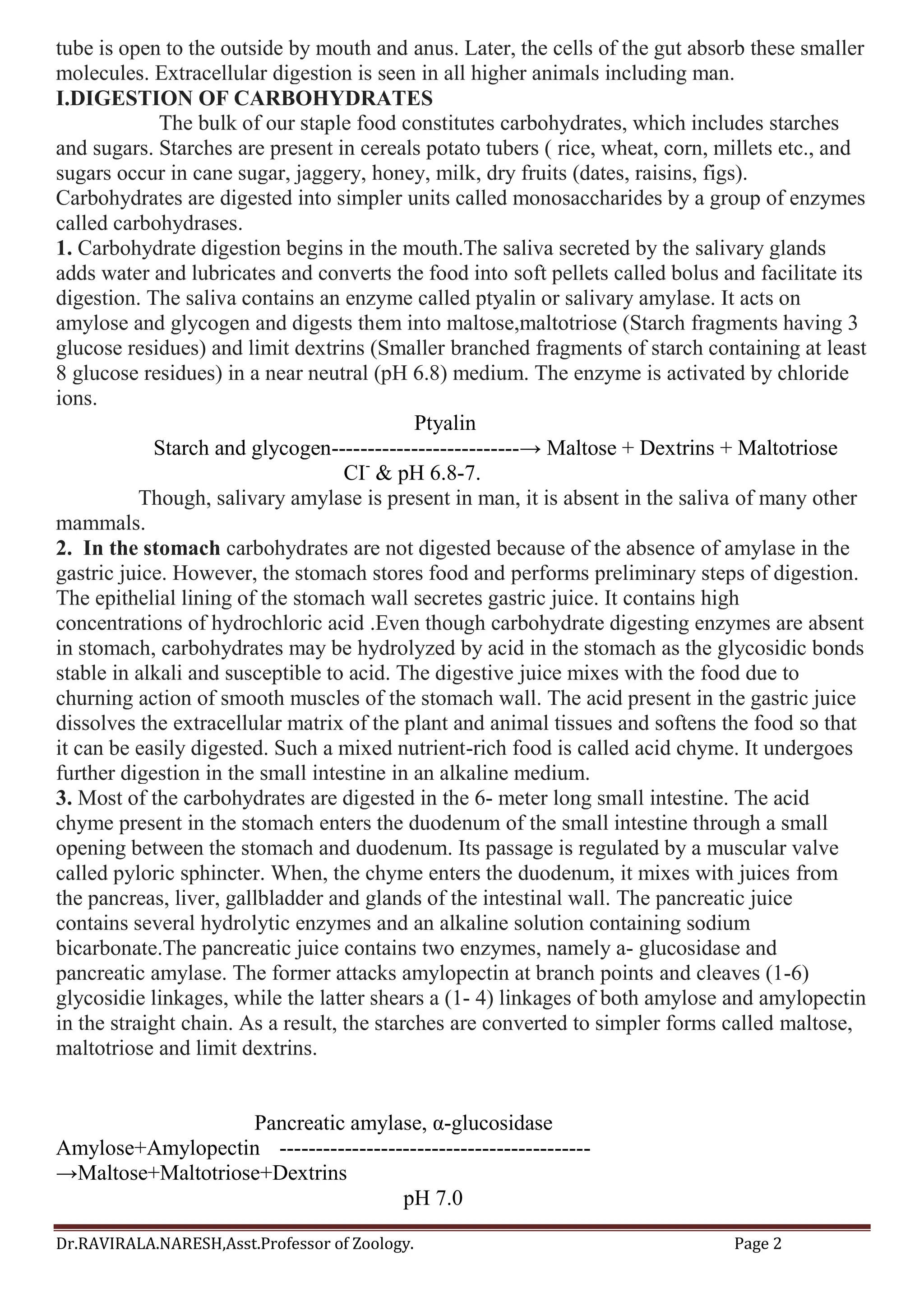 DIGESTION OF CARBOHYDRATES ,PROTEINS AND LIPIDS | PDF
