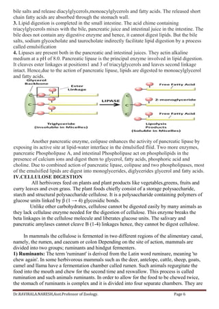 DIGESTION OF CARBOHYDRATES ,PROTEINS AND LIPIDS | PDF