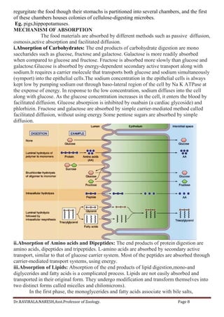 DIGESTION OF CARBOHYDRATES ,PROTEINS AND LIPIDS | PDF