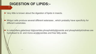 Digestion of artificial and natural diets by insects | PPTX