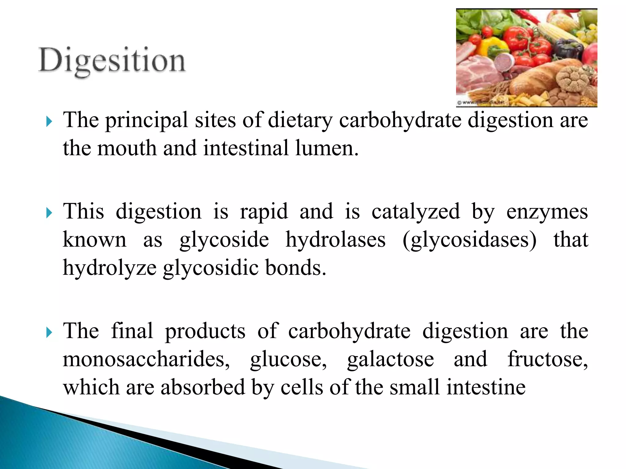 Digestion of carbohydrates | PPTX