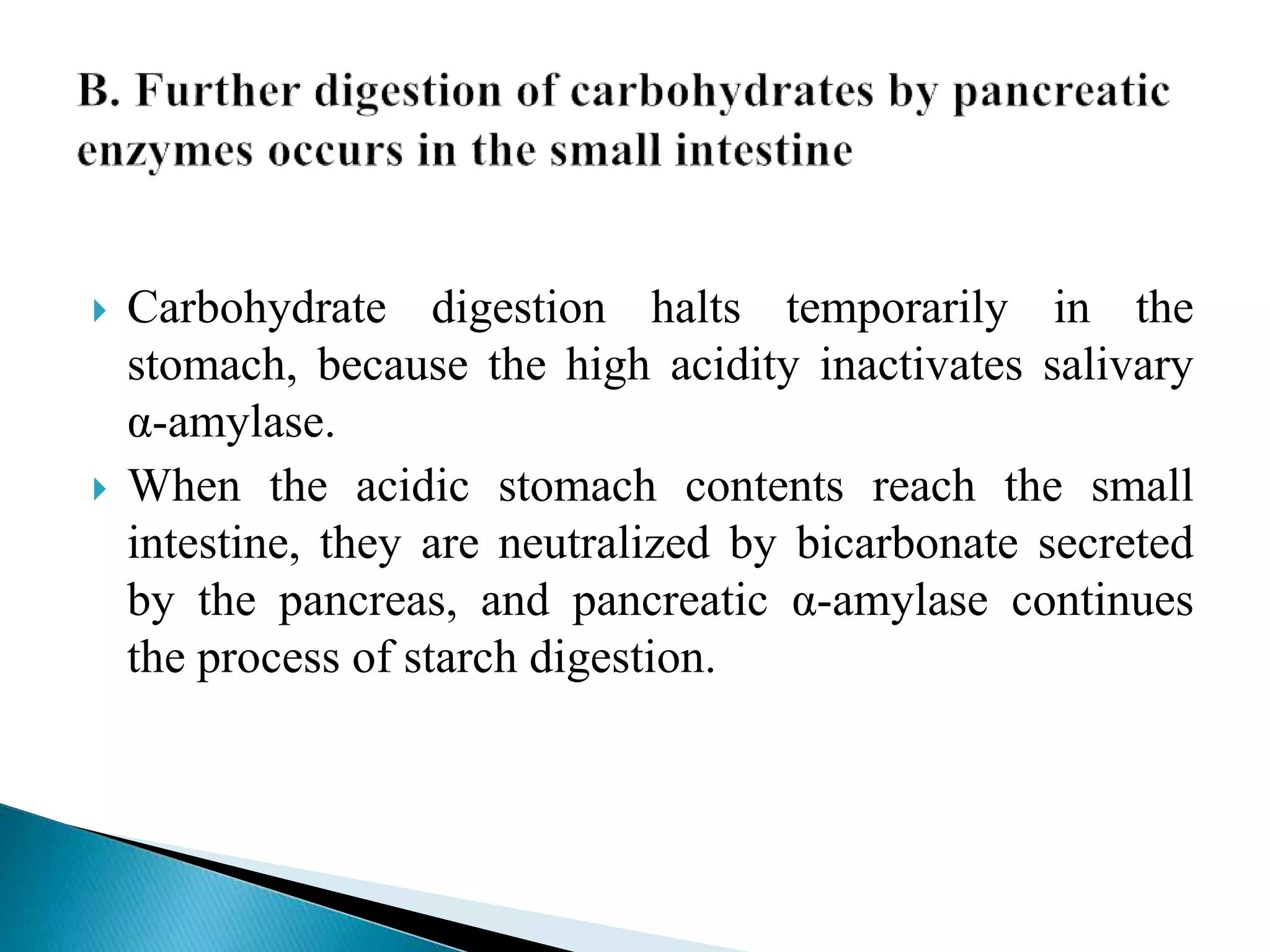 Digestion of carbohydrates | PPTX