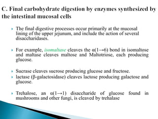 Digestion of carbohydrates | PPTX