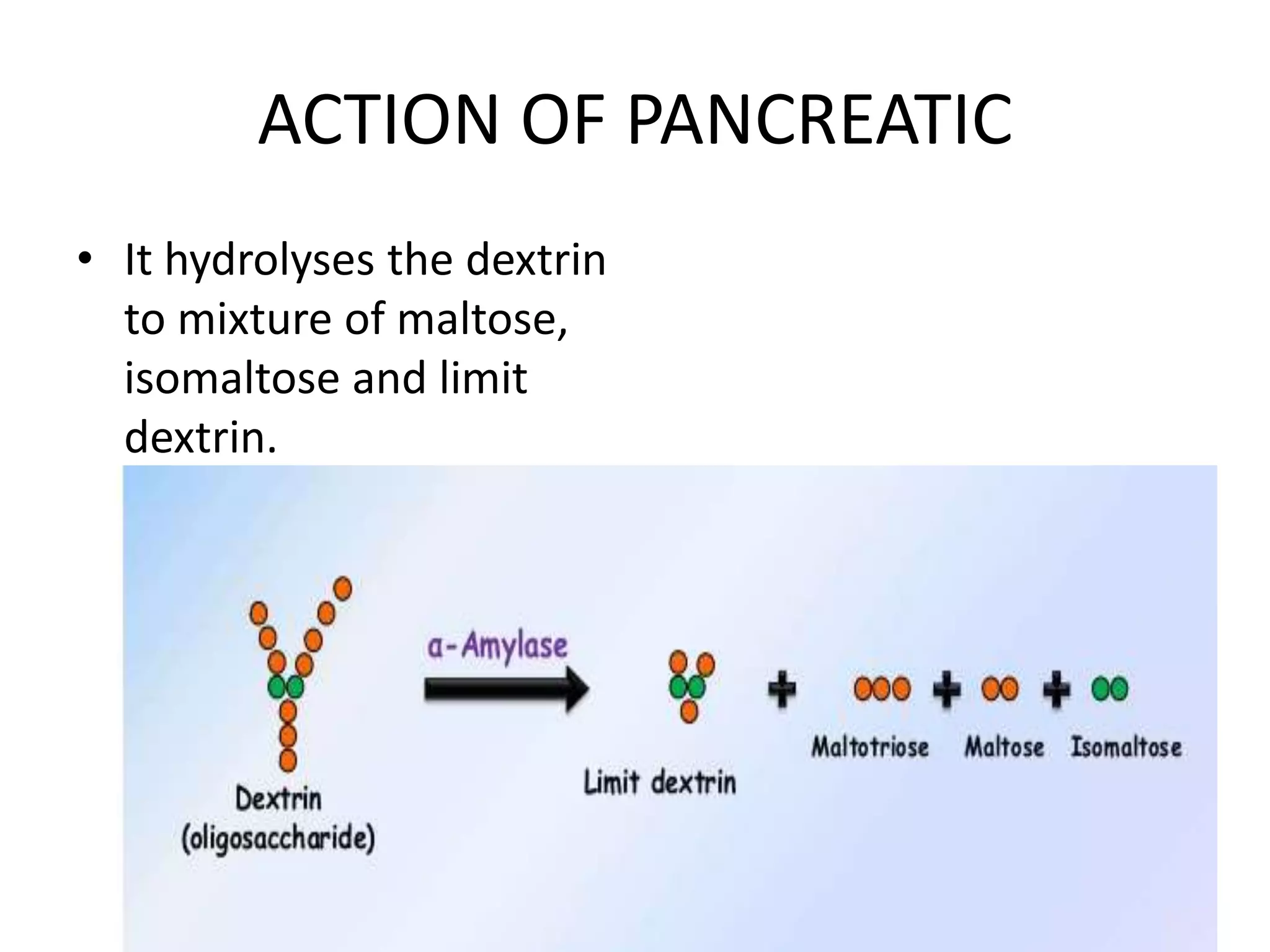 Digestion of carbohydrates | PPTX