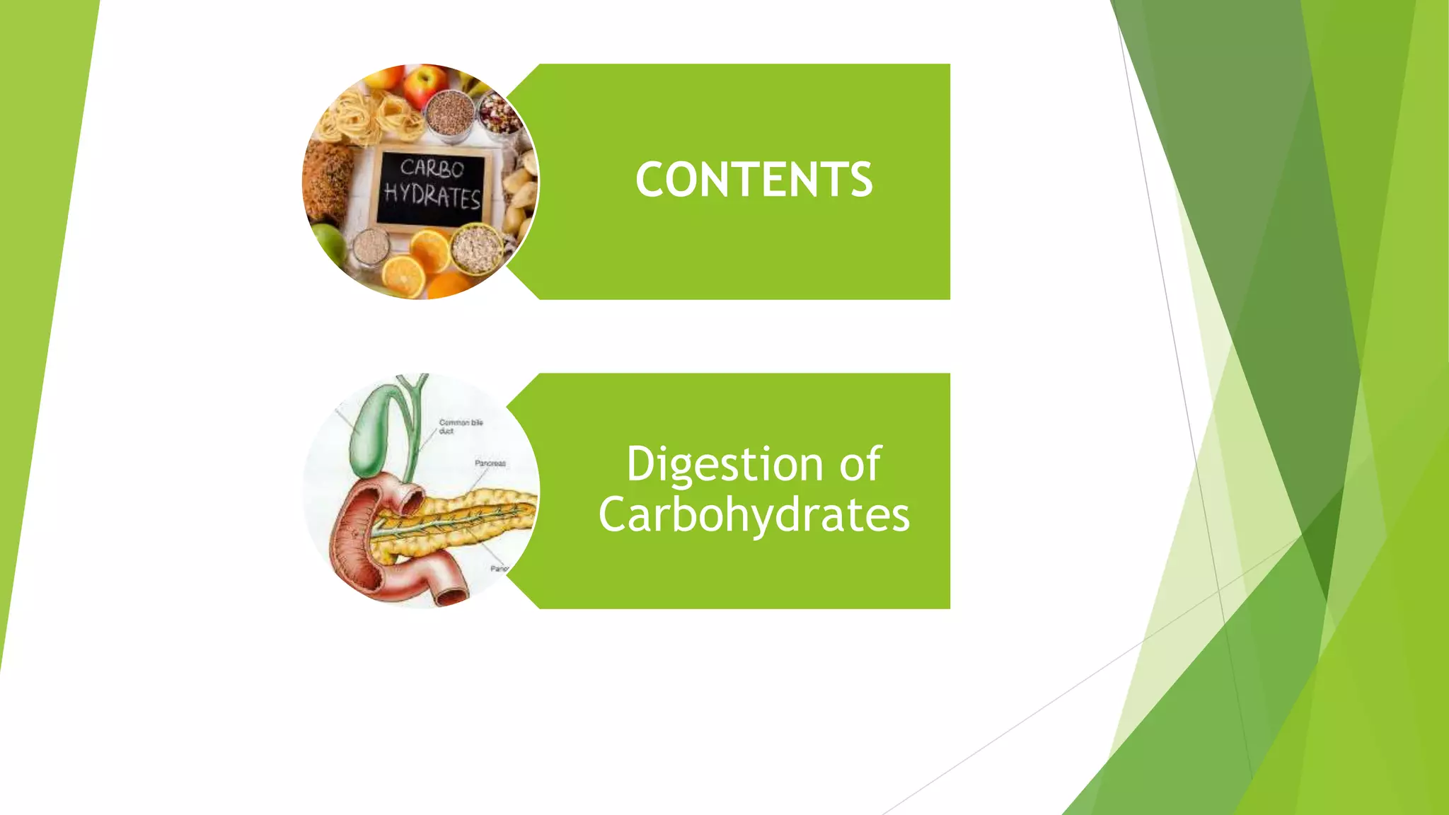 Digestion of carbohydrates -Shakil Haque.pptx