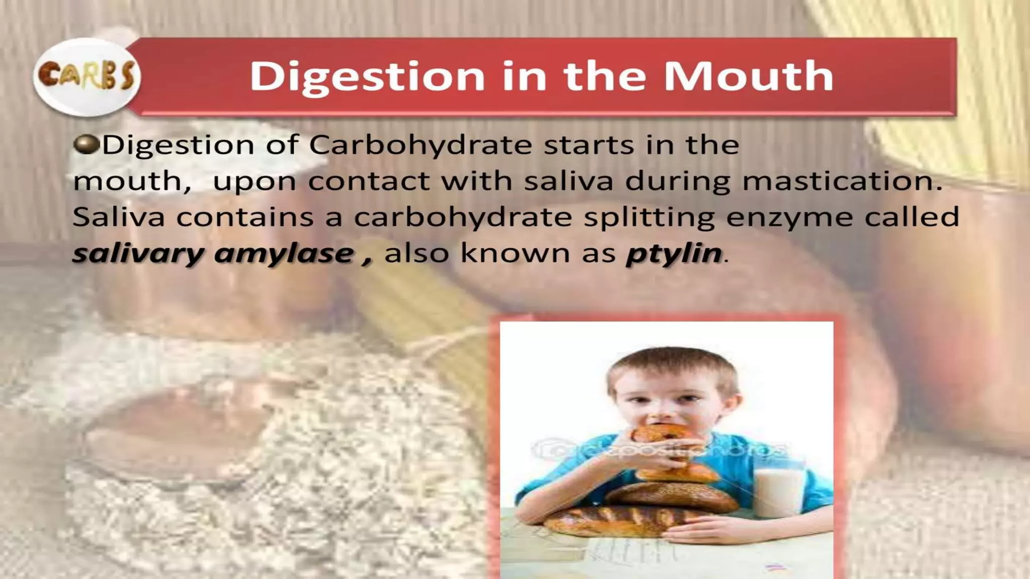 Digestion of carbohydrates -Shakil Haque.pptx
