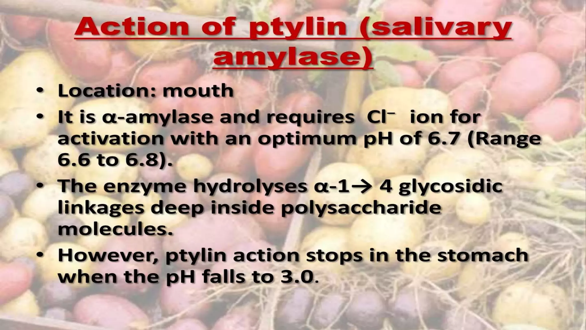 Digestion of carbohydrates -Shakil Haque.pptx