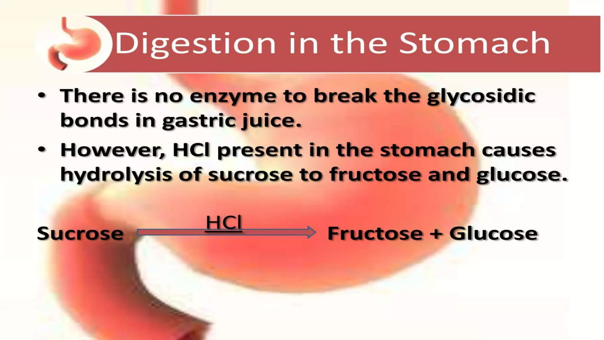 Digestion of carbohydrates -Shakil Haque.pptx