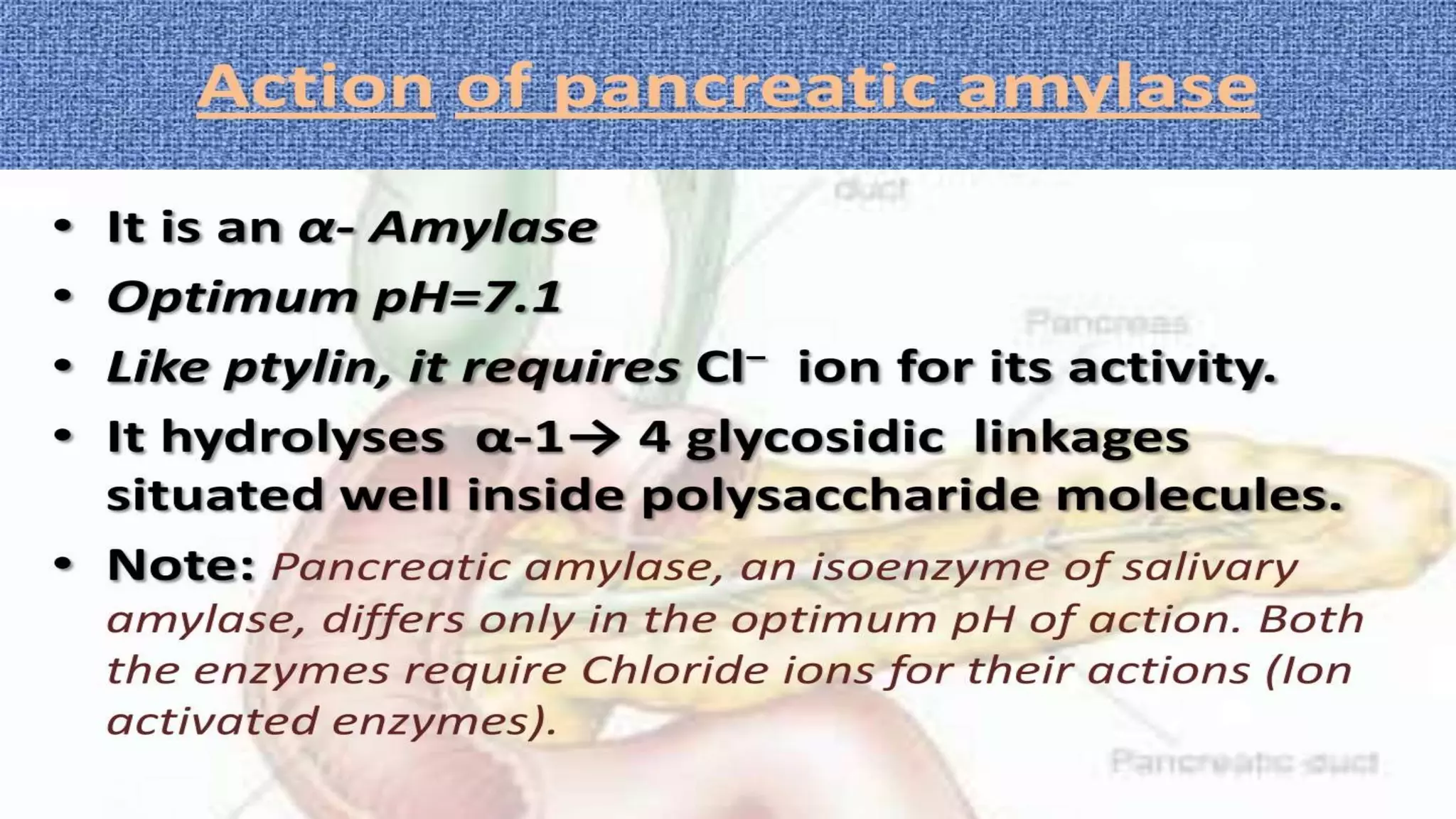 Digestion of carbohydrates -Shakil Haque.pptx