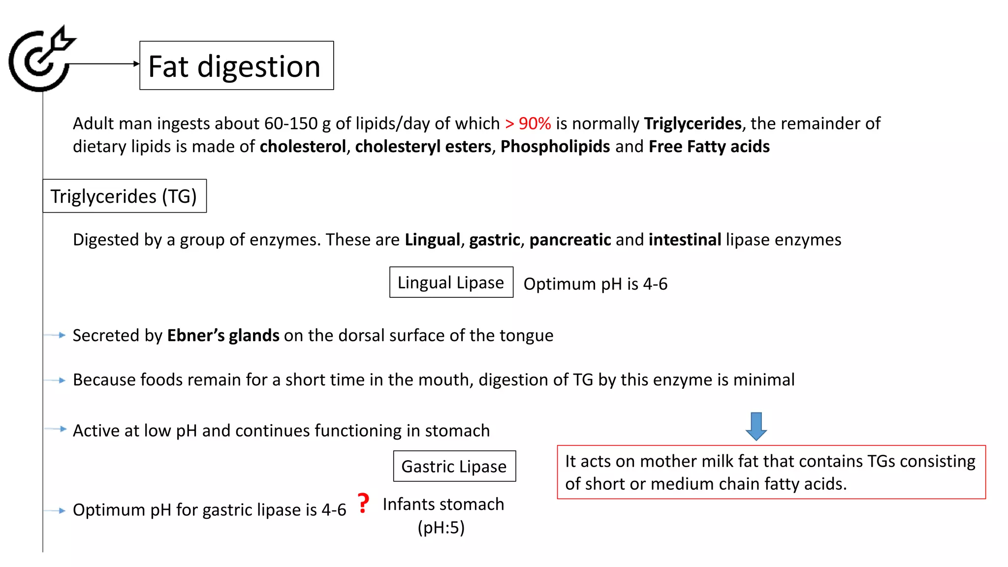 Digestion of carbohydrates, proteins and lipids | PPTX